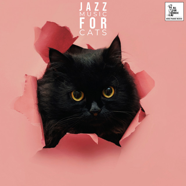 Jazz Music For Cats - Album by Jingle Cats | Spotify