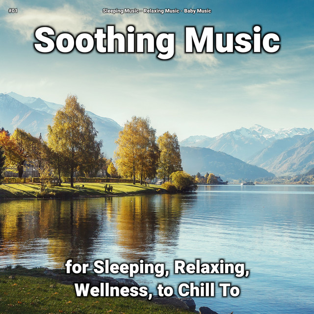 #01 Soothing Music for Sleeping, Relaxing, Wellness, to Chill To ...