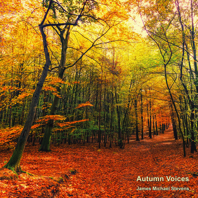 Autumn Voices - Album by James Michael Stevens | Spotify