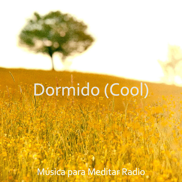Atencion Plena Sentirse Bien Sentimientos - song and lyrics by Musica ...