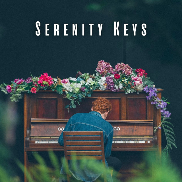 Serenity Keys: Piano Music for Meditation - Album by Piano Prayer | Spotify