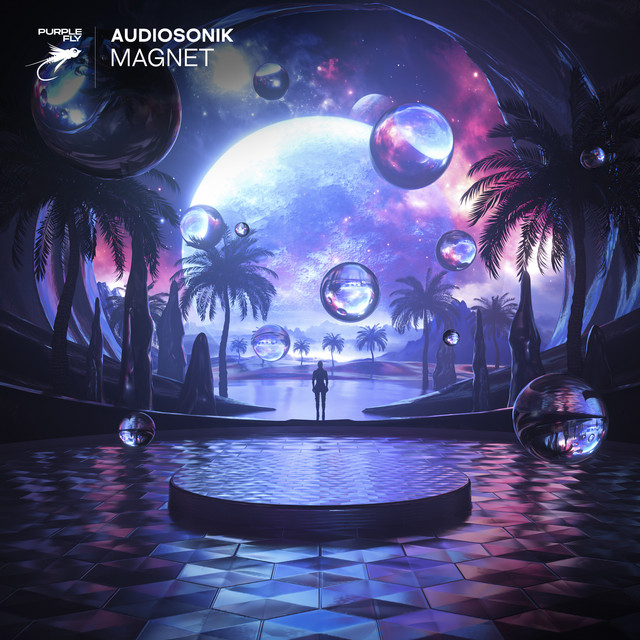 Magnet - Single by Audiosonik | Spotify
