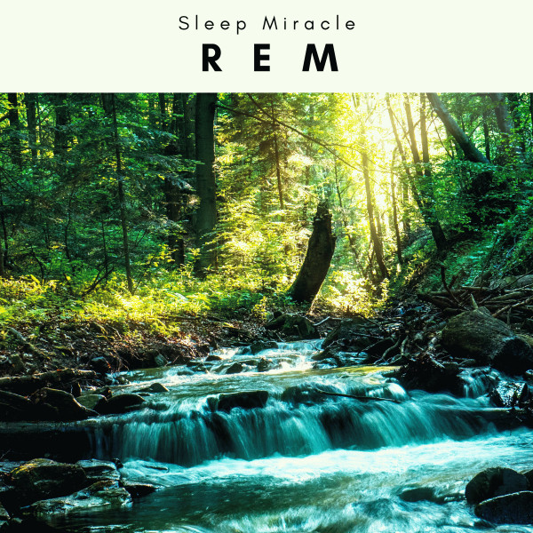 3 2 1 R E M Album By Sleep Miracle Spotify