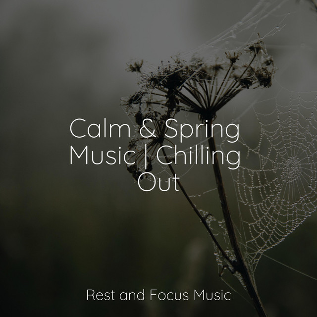 Calm & Spring Music | Chilling Out - Album by Music to Relax in Free ...