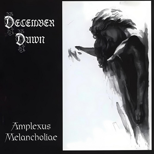 December Dawn | Spotify