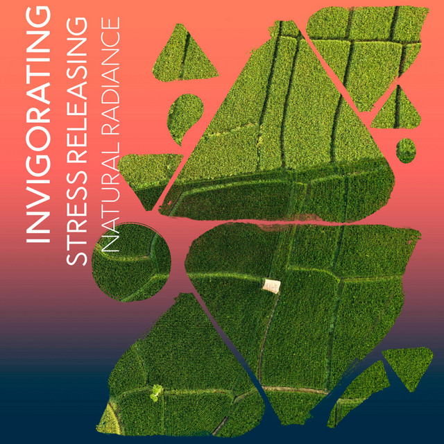Invigorating Stress Releasing Natural Radiance - Album by Mother Nature ...