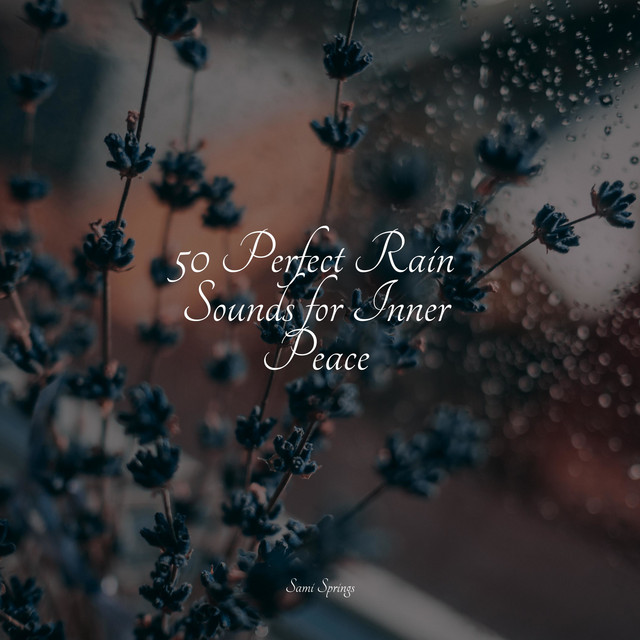 50 Perfect Rain Sounds for Inner Peace - Album by Wellness | Spotify