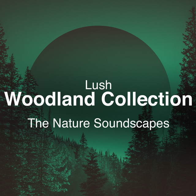 Lush Woodland Collection: The Nature Soundscapes - Album by Nature ...