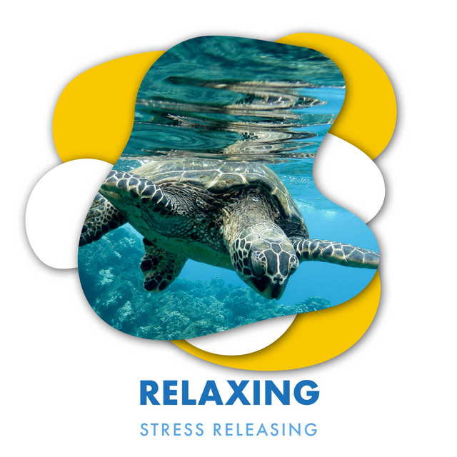 zZz Relaxing Stress Releasing Ocean Harmonies zZz - Album by Ocean ...