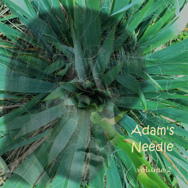 Adam's Needle | Spotify