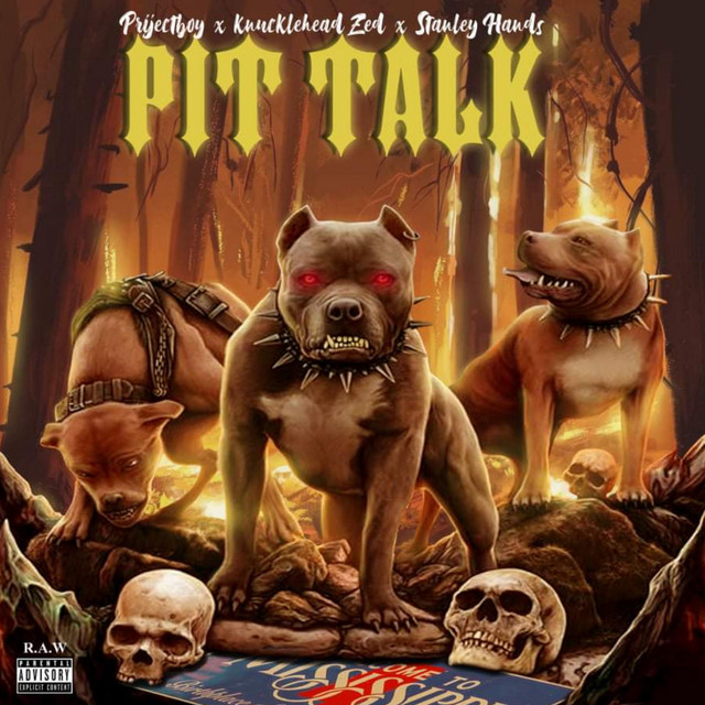 PIT TALK - Single by Prijectboy | Spotify