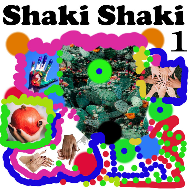 Shaki Shaki 1 - Single by Santi DJ | Spotify