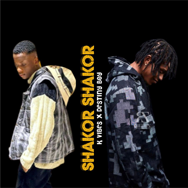 Shakor Shakor - Single by K vibes | Spotify