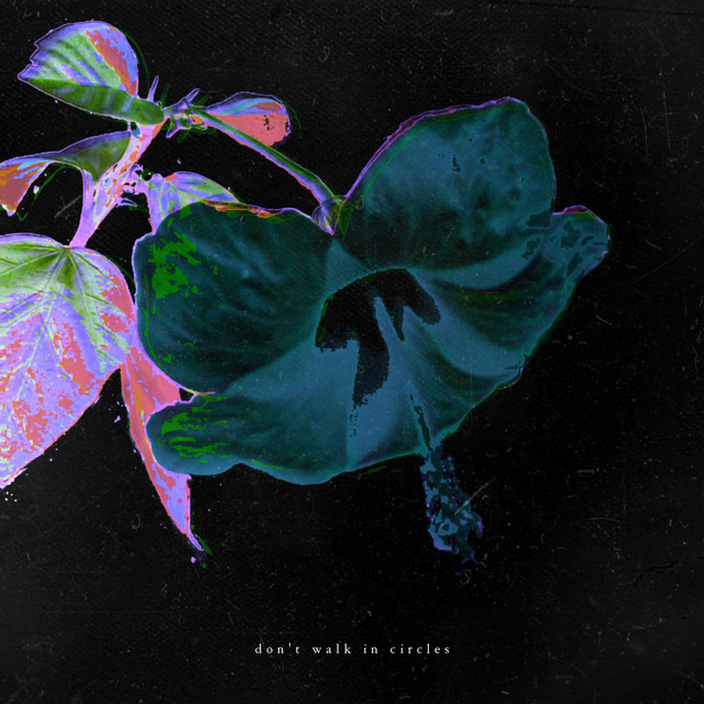 GREYFACE - Single by GREYFACE | Spotify