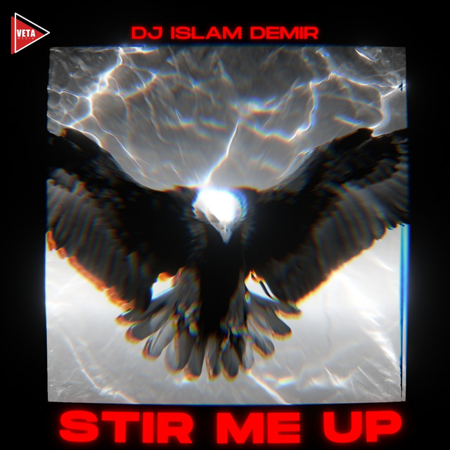 Stir Me Up - Single by DJ Islam Demir | Spotify