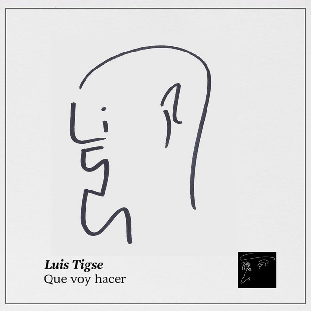 Luis Tigse | Spotify