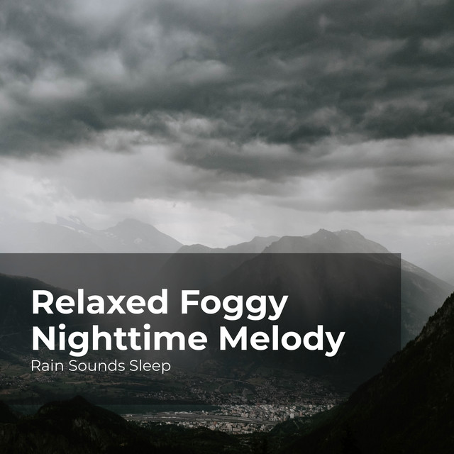 Relaxed Foggy Nighttime Melody - Album by Rain Sounds Sleep | Spotify