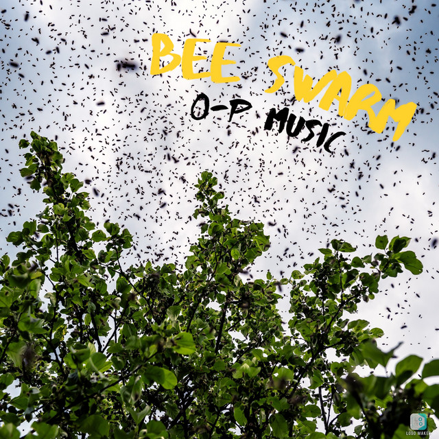 Bee Swarm - Single by O-P Music | Spotify