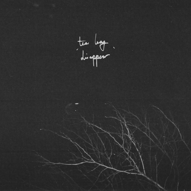 Disappear Quotes