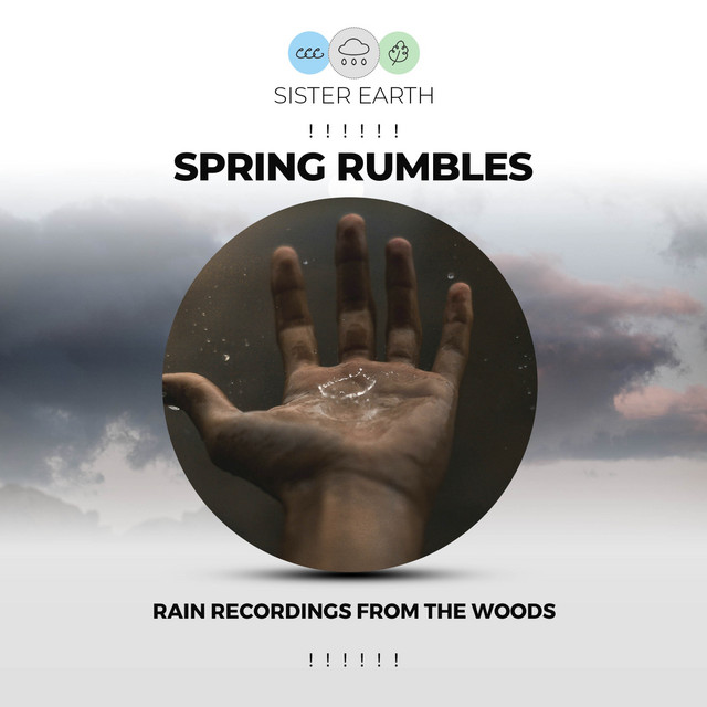 Spring Rumbles Rain Recordings from the Woods ! ! ! ! ! ! - Album by ...