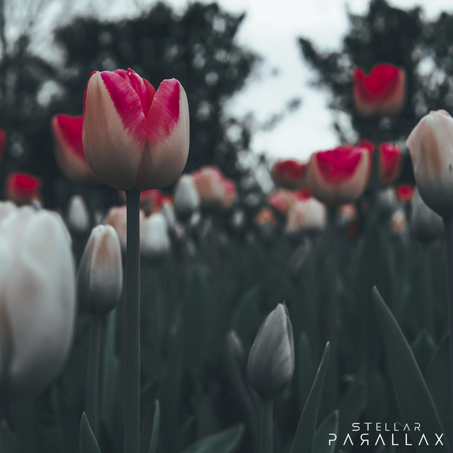 Falling - Single by Brandon Acosta | Spotify