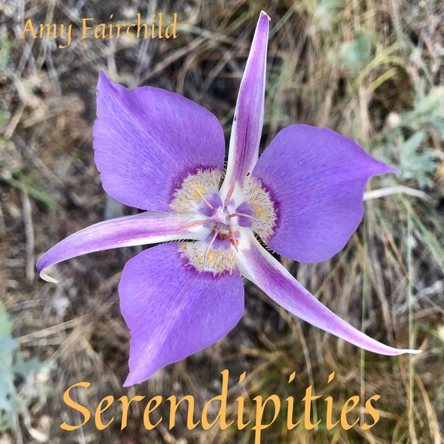 Serendipities - Album by Amy Fairchild | Spotify