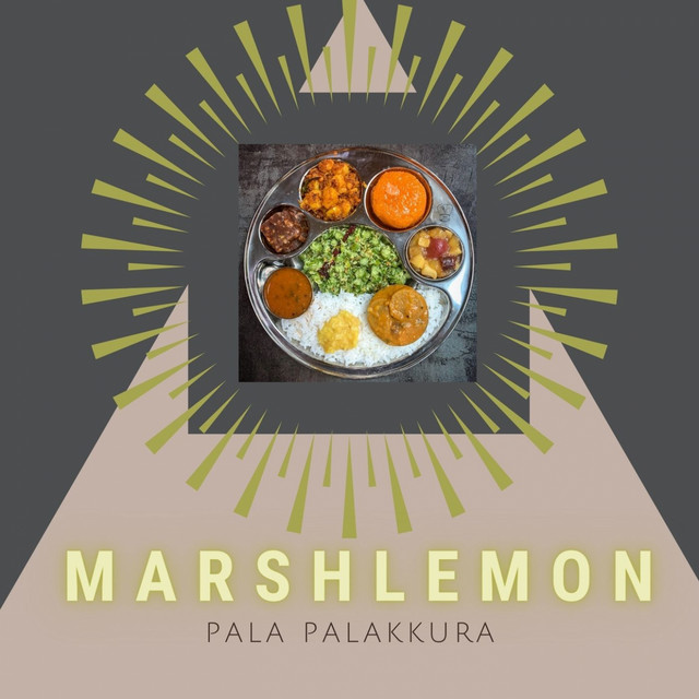Pala Palakkura - song by Marshlemon | Spotify