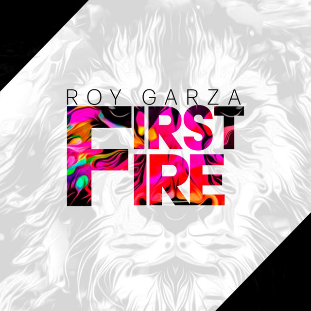 First Fire - Single de Roy Garza | Spotify