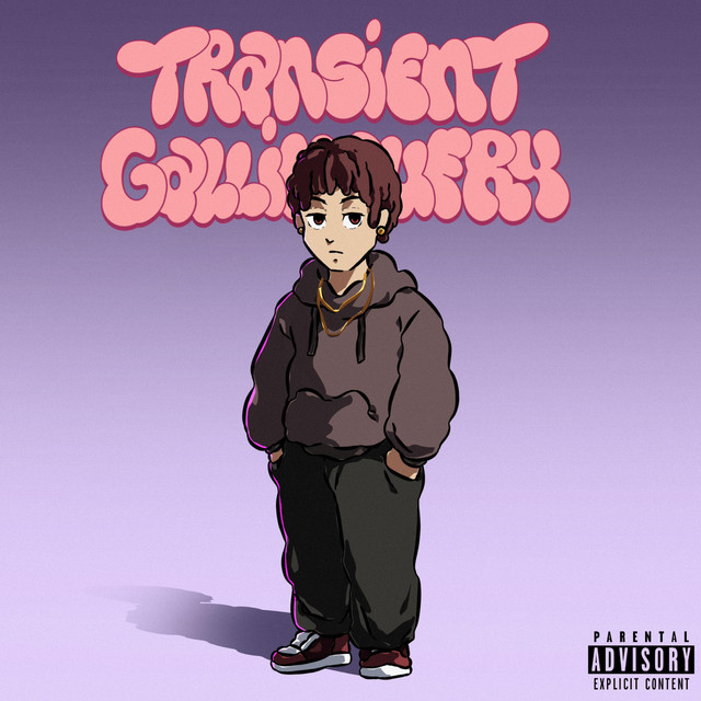Transient Gallimaufry - Album by Lil Sac | Spotify