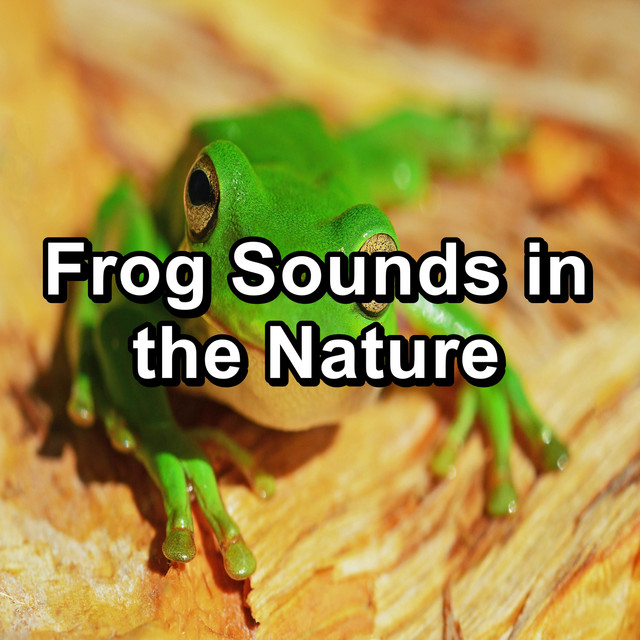 Frog Sounds in the Nature - Album by Relaxing Music Therapy | Spotify