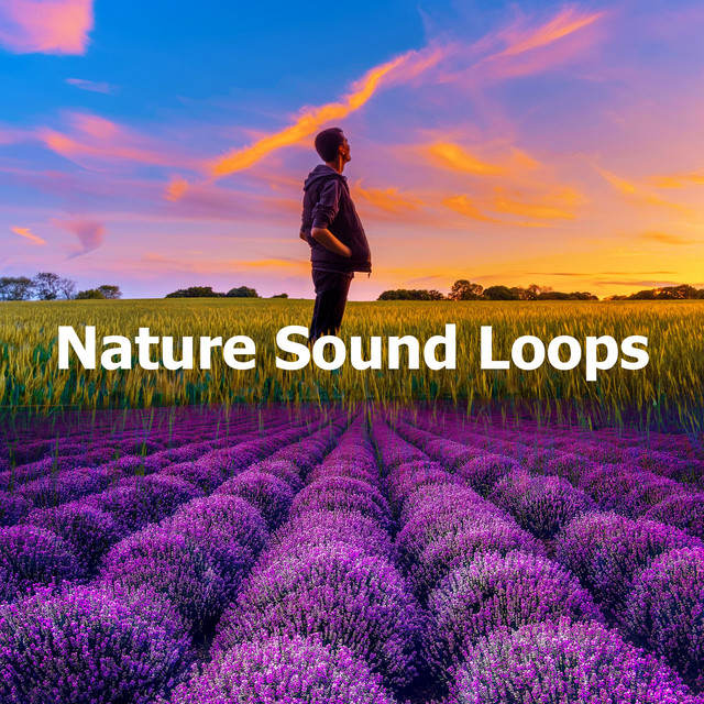 Nature Sound Loops - Album by Nature Sound Collection | Spotify