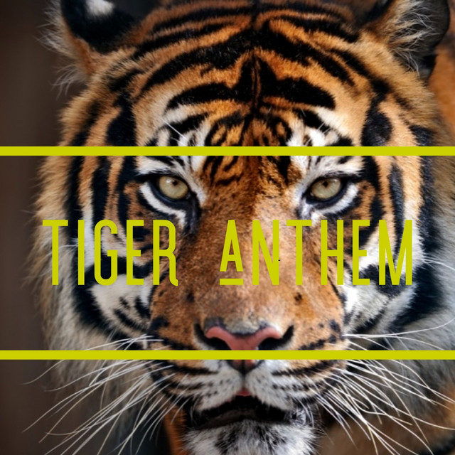 Tiger Anthem - Single by Sam*son | Spotify