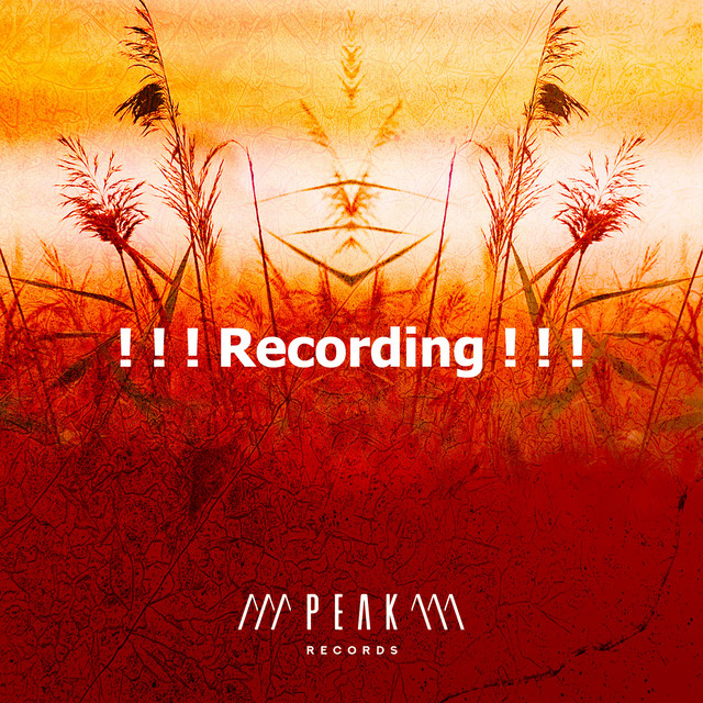 Recording ! ! ! - Album by Nature Sounds Nature Music | Spotify