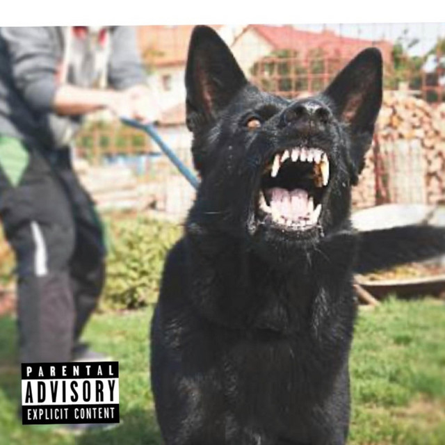 Show My Teeth - Single by Fletchy2Fat | Spotify