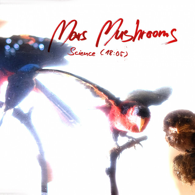 Science - Single by mars mushrooms | Spotify