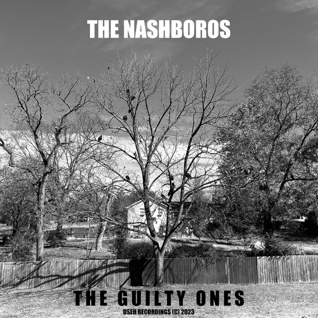 The Guilty Ones - song and lyrics by The Nashboros | Spotify