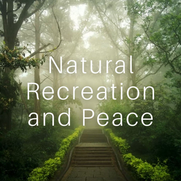 Natural Recreation and Peace - 2 hours - Single by Happy Chillout ...