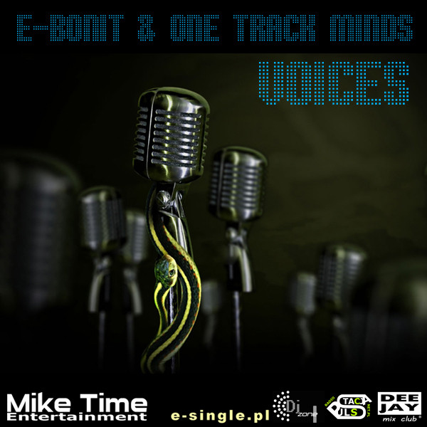 E-Bonit & One Track Minds | Spotify