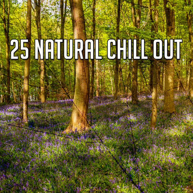 25 Natural Chill Out - Album by Life Sounds Nature | Spotify