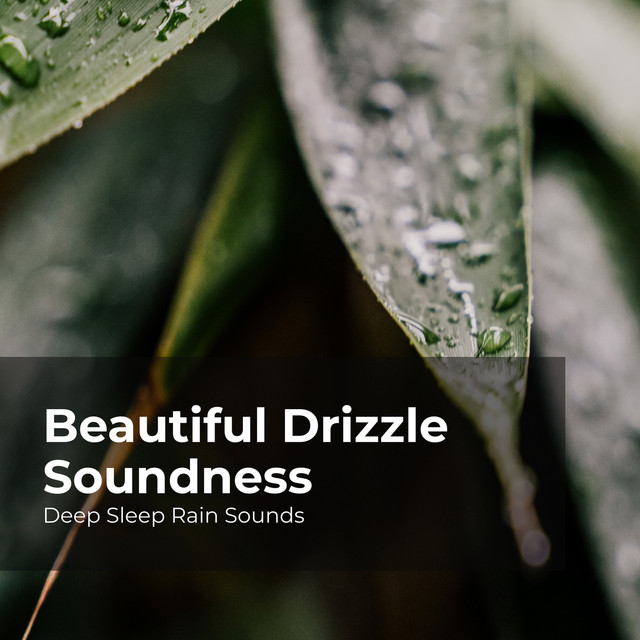 Beautiful Drizzle Soundness - Album by Deep Sleep Rain Sounds | Spotify