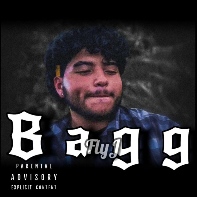 Bag - Single by Fly J | Spotify