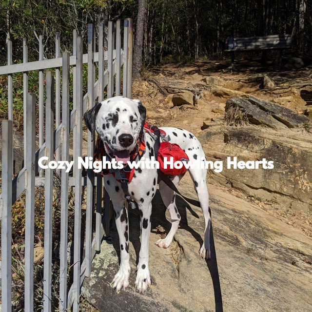 Cozy Nights with Howling Hearts - Album by Dog Therapy Music | Spotify