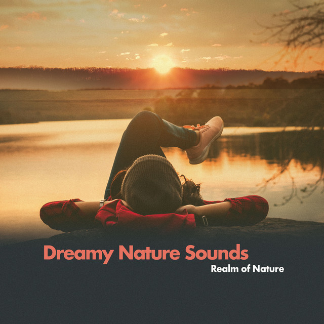 Rill Timberland - song and lyrics by Realm of Nature | Spotify