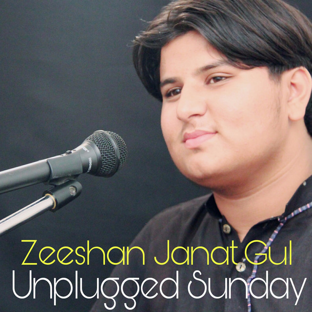 Unplugged Sunday - Single by Zeeshan Janat Gul | Spotify