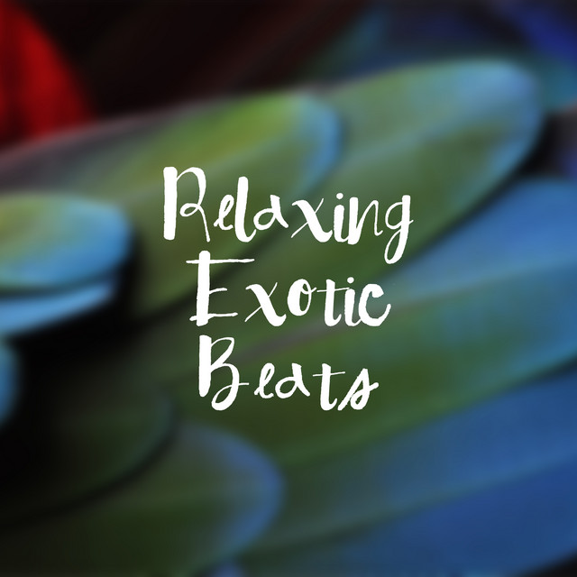 Relaxing Exotic Beats - Album by Ibiza Lounge Club | Spotify