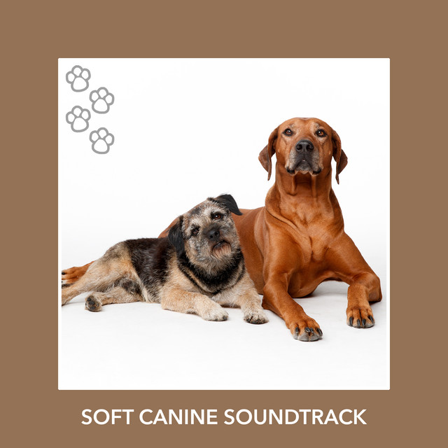 Soft Canine Soundtrack - Album by Dog Chill Out Music | Spotify