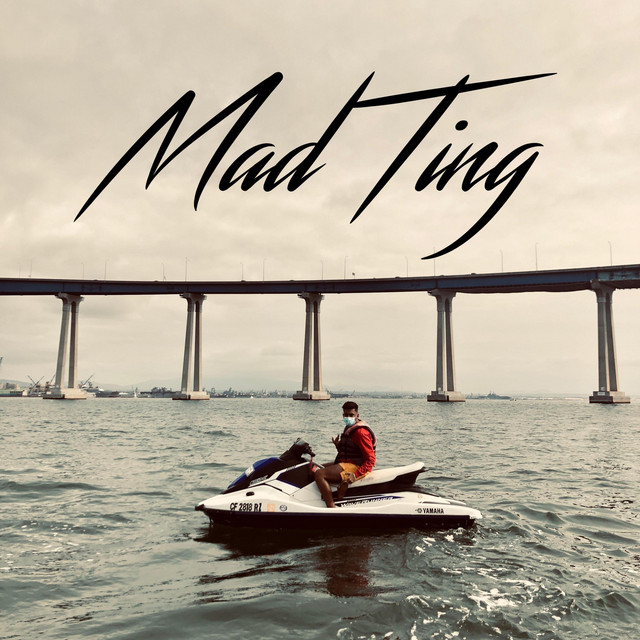 Mad Ting - Single by RAJ | Spotify