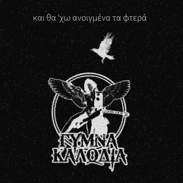 live-song-and-lyrics-by-spotify