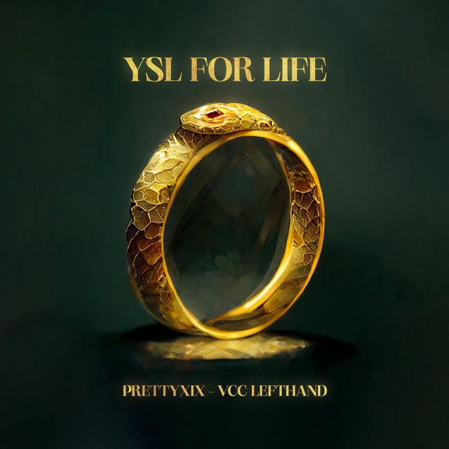 YSL For Life - Single by prettyXIX | Spotify