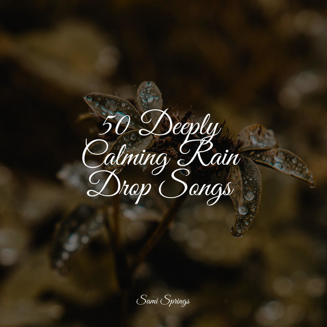 50 Deeply Calming Rain Drop Songs - Album by Rain Recorders | Spotify